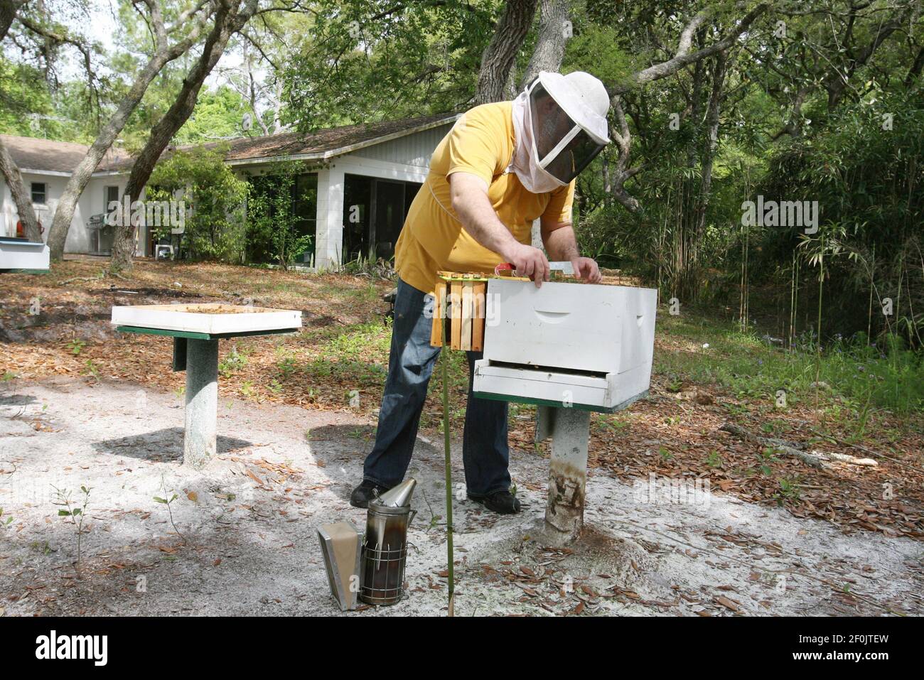 Shawn Boltz führt Routinewartung auf einem Bienenstock in seinem ...