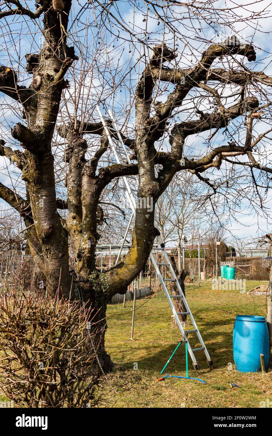Steht Leiter Stockfotos und -bilder Kaufen - Alamy