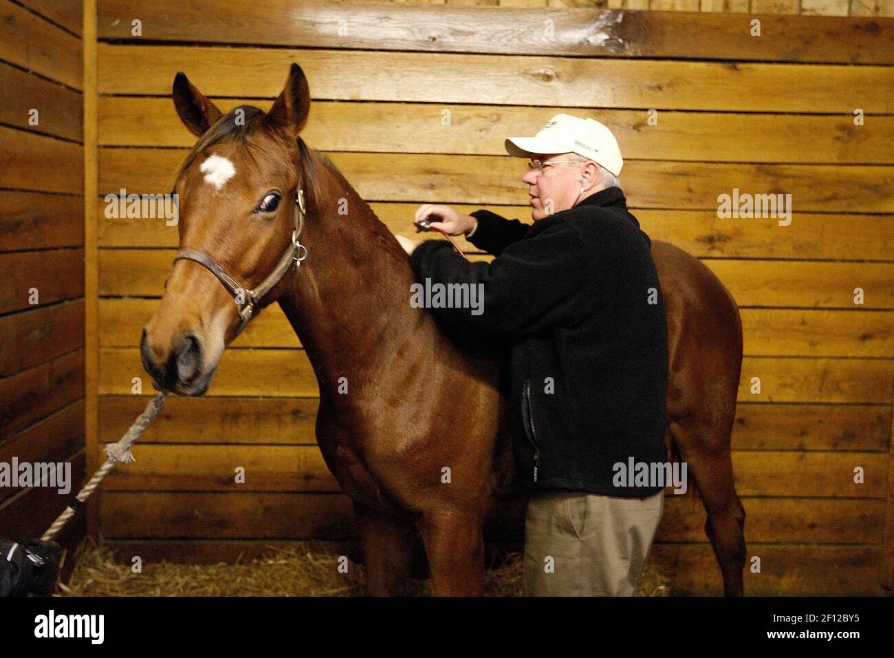 Dr. Scott Pierce untersuchte ein Pferd auf seiner Farm in der Nähe von ...