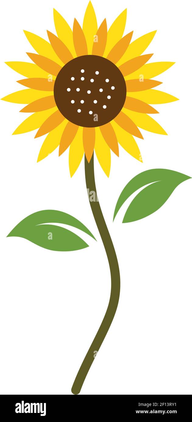 Sonnenblume Logo Symbol Vektor Illustration Stock-Vektorgrafik - Alamy