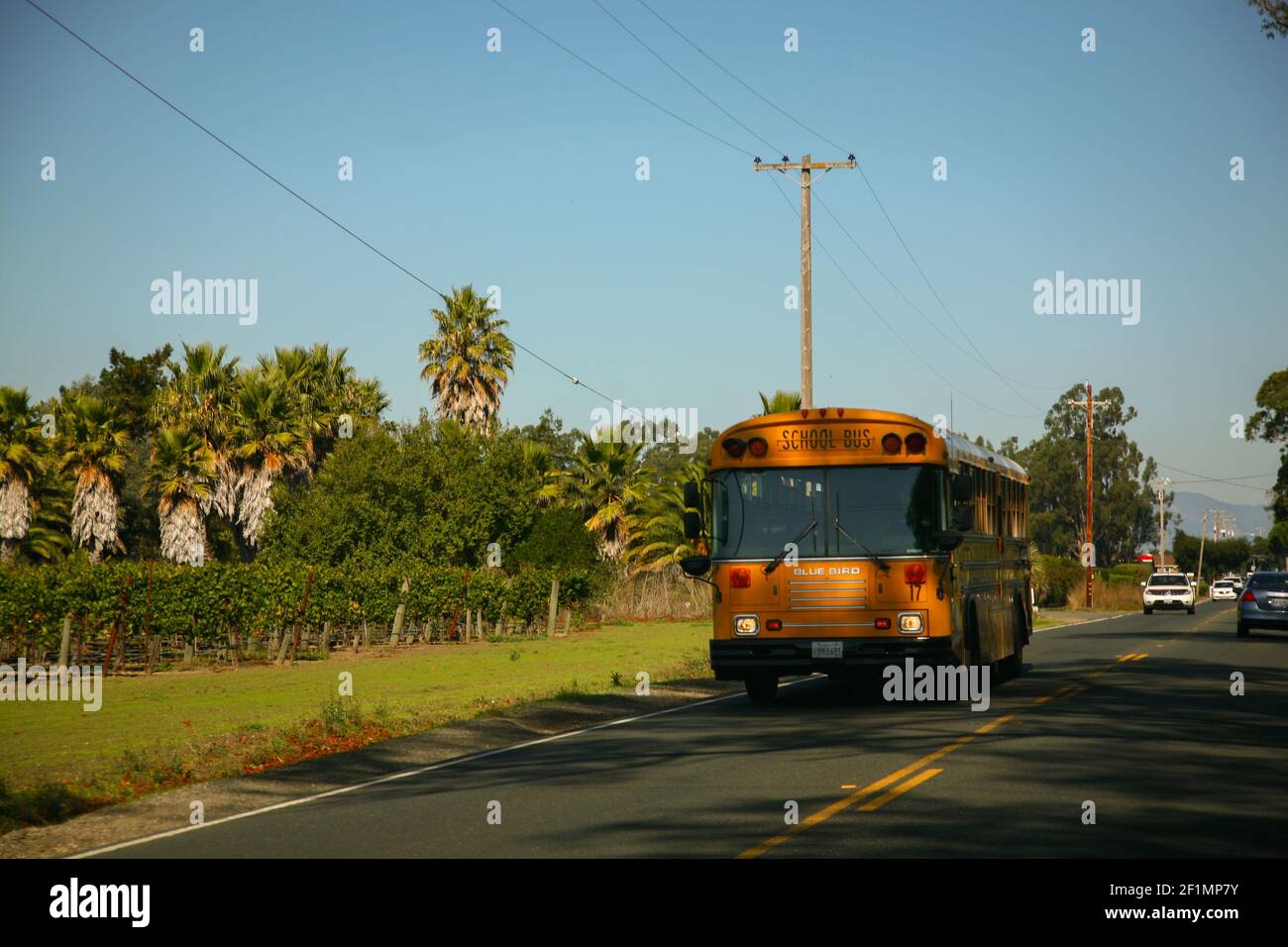 Public bus in us -Fotos und -Bildmaterial in hoher Auflösung – Alamy