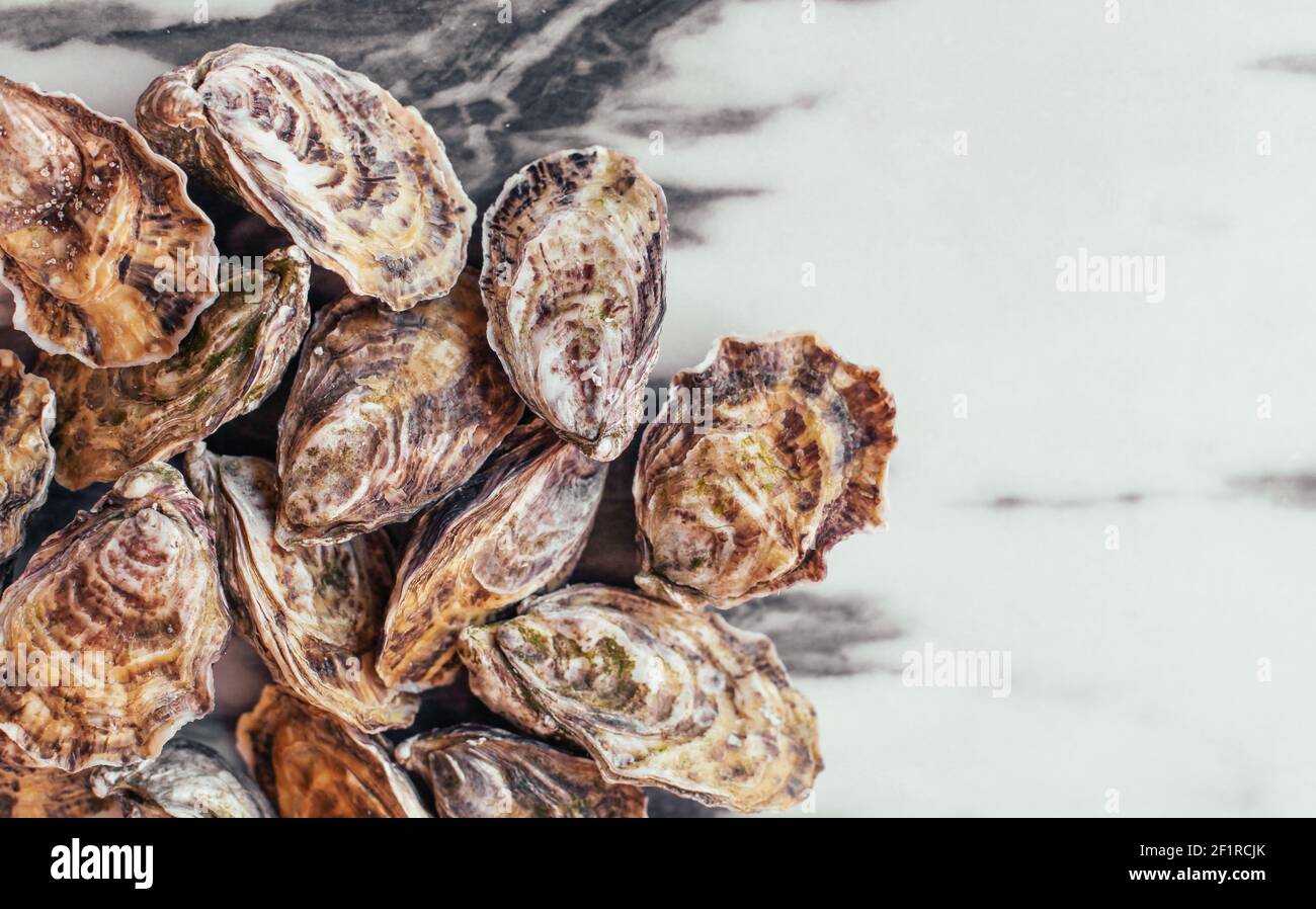 Frische Frische Austern Stockfotos und -bilder Kaufen - Alamy