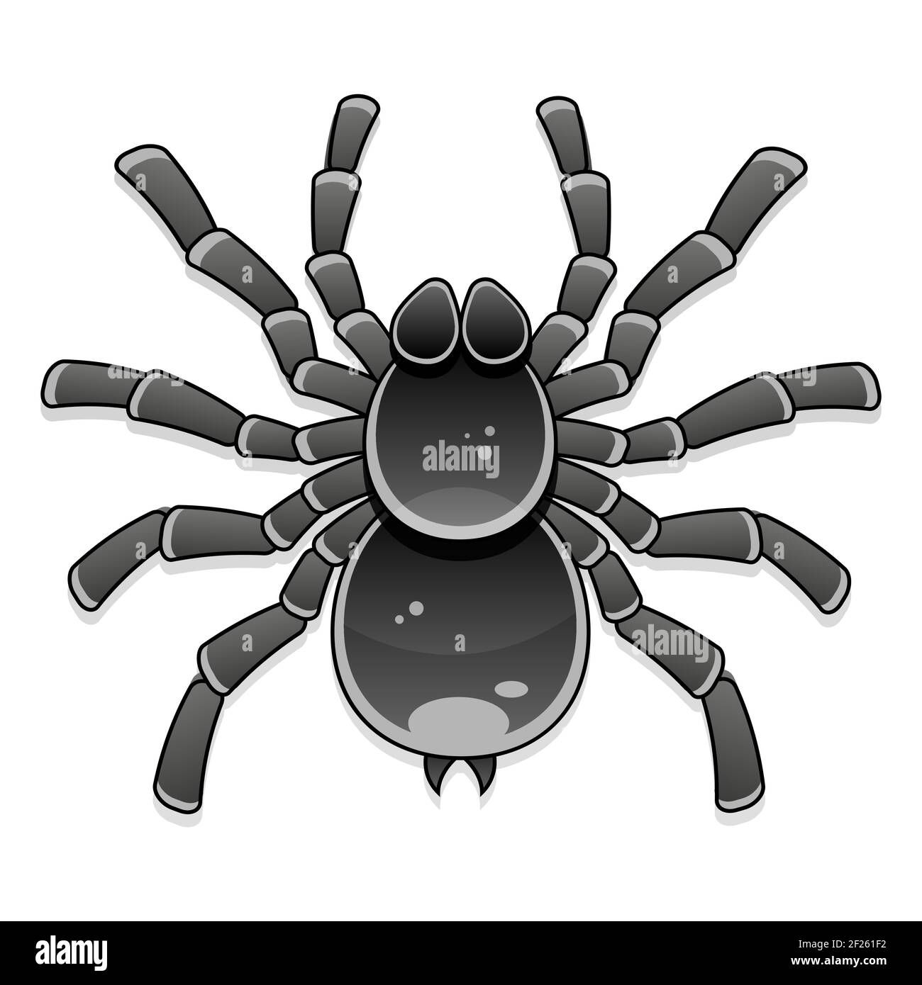 spider Tarantula Vektor Farbe Zeichnung Vektor Illustration Stock ...