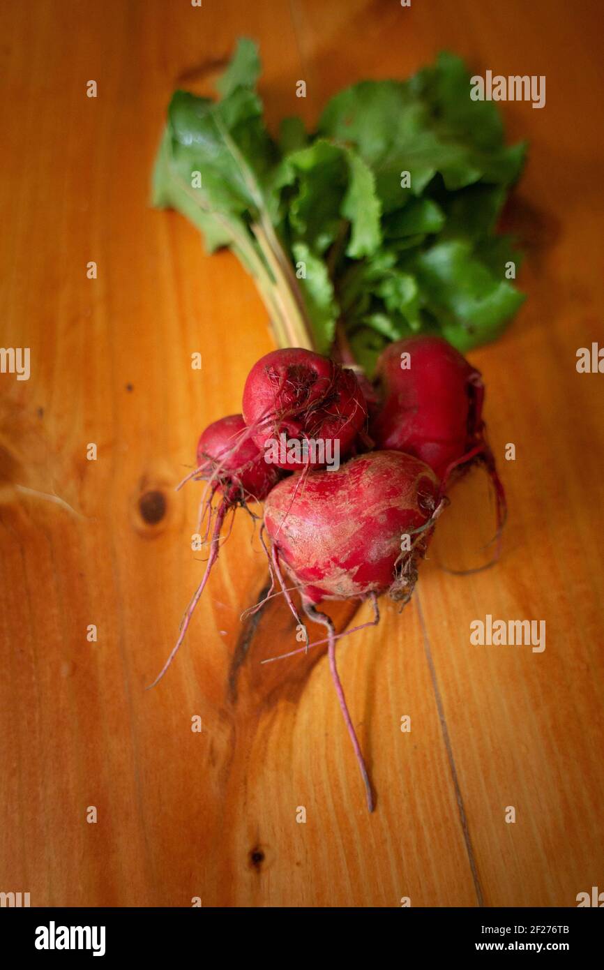 Garten beete -Fotos und -Bildmaterial in hoher Auflösung – Alamy