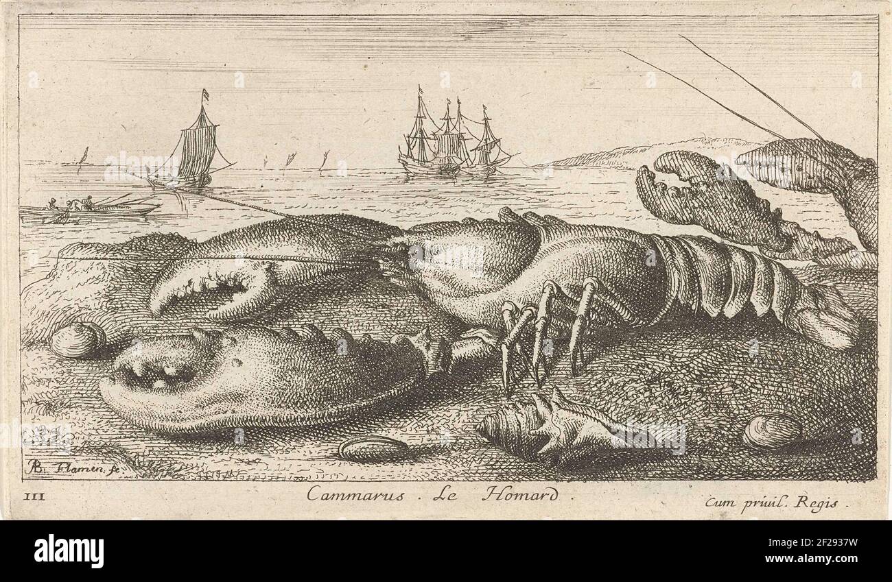 Hummer am Strand; Cammarus. Le Homard; Fische und andere Meerestiere ...