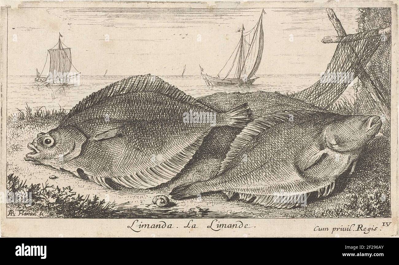Zwei am Strand; Limanda. La Limande.; Fisch und andere Meerestiere ...