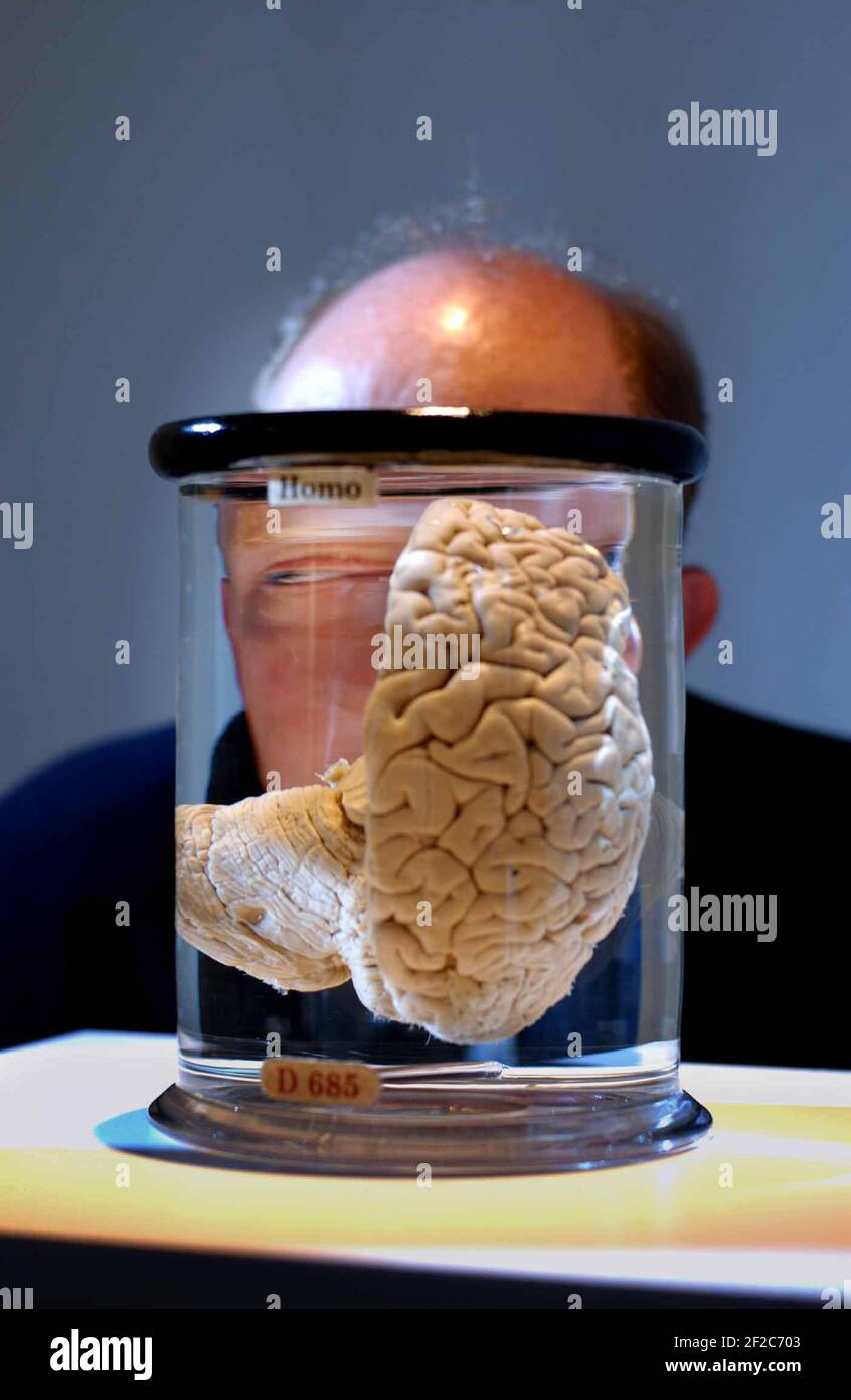 Charles babbage brain -Fotos und -Bildmaterial in hoher Auflösung – Alamy