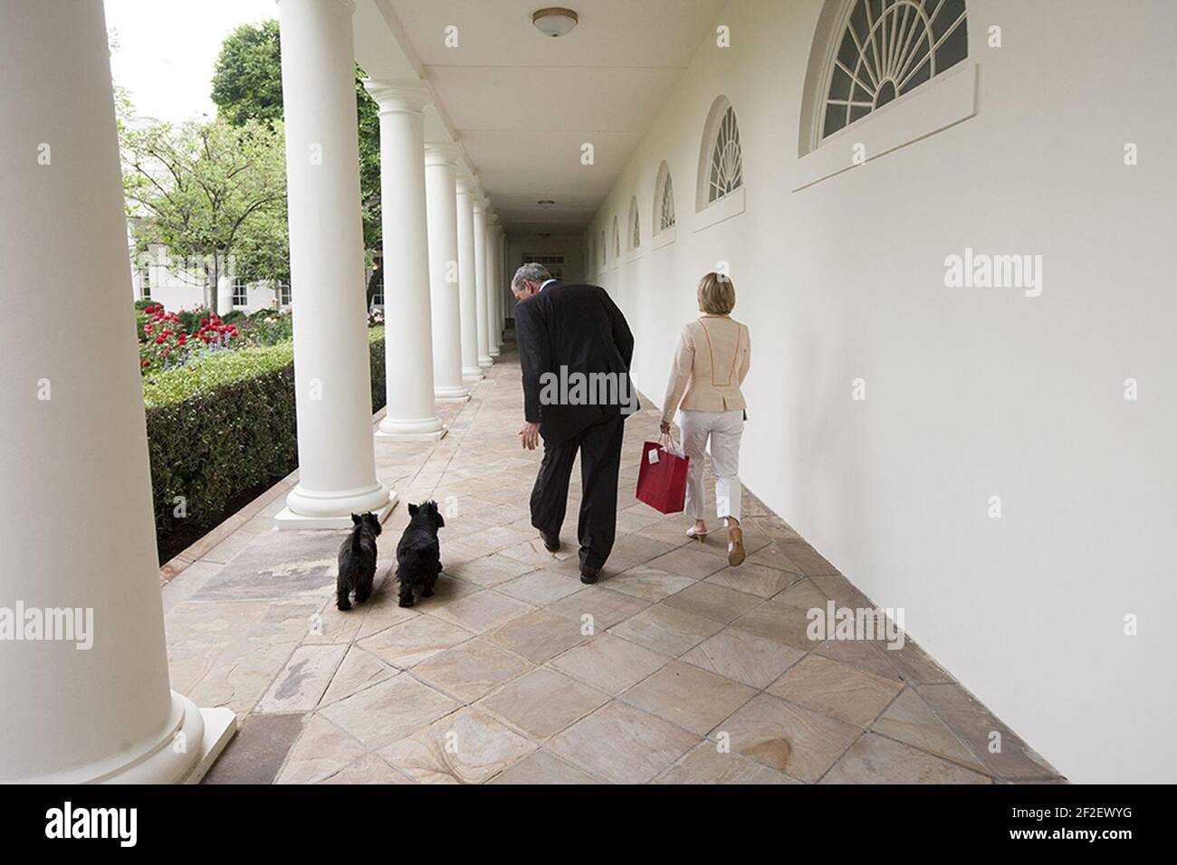 Präsident George W. Bush geht mit Dana Perino, Barney und Miss Beazley ...