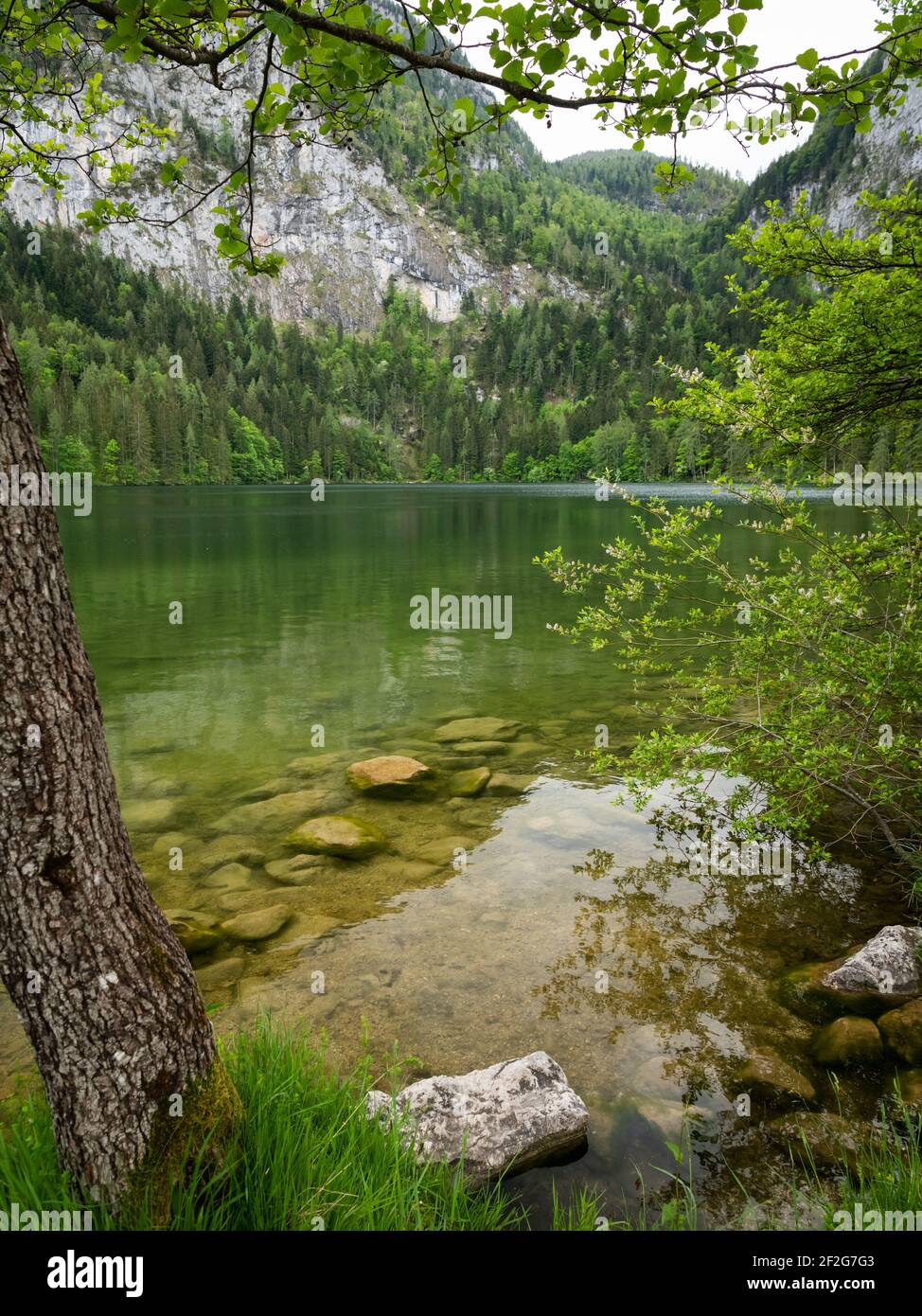 Bei windischgarsten Stockfotos und -bilder Kaufen - Alamy
