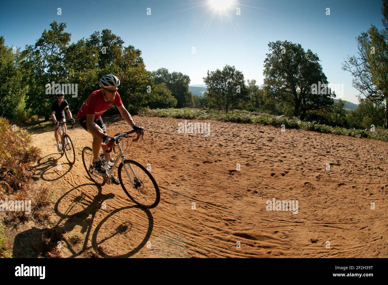 Radfahrer auf der Downs Link-Route, die die Nord- und Süd-Downs auf ...