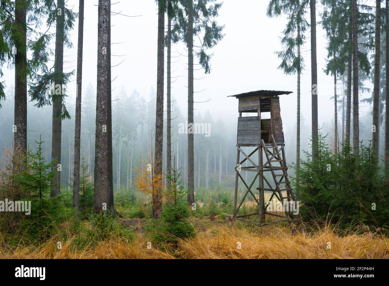 Spessart nature park -Fotos und -Bildmaterial in hoher Auflösung – Alamy Spessart nature park -Fotos und -Bildmaterial in hoher Auflösung – Alamy