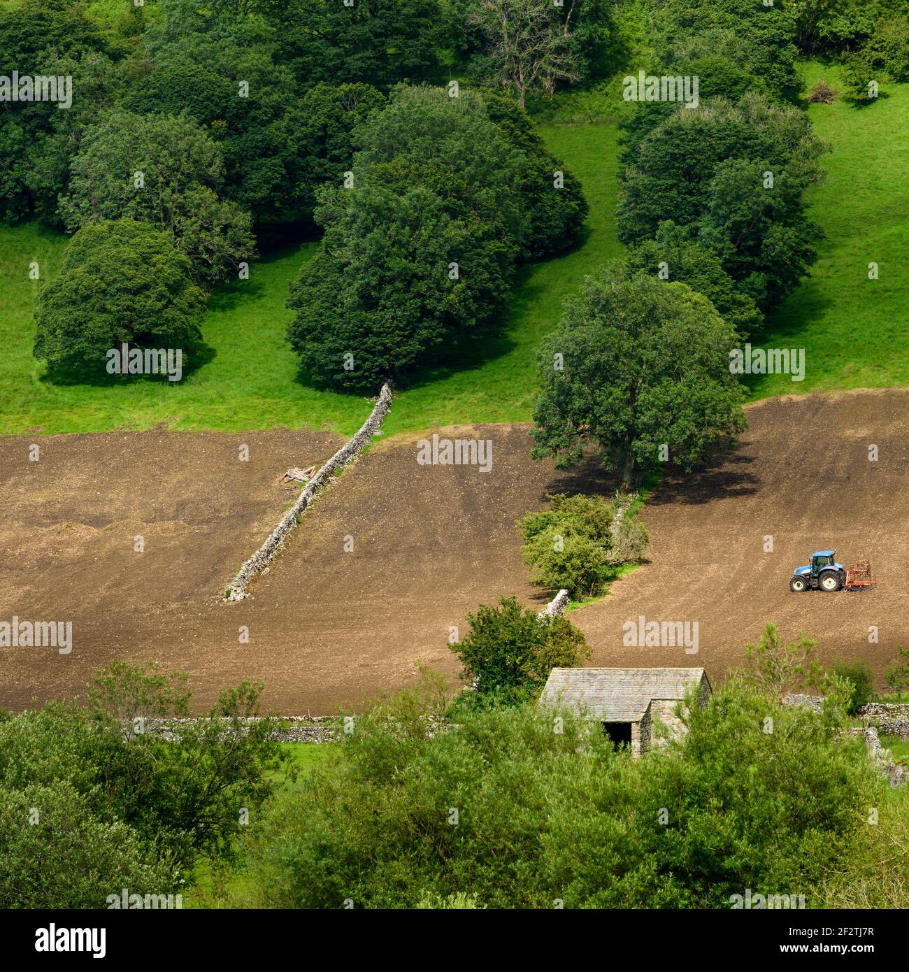 Gezogene eggen -Fotos und -Bildmaterial in hoher Auflösung – Alamy