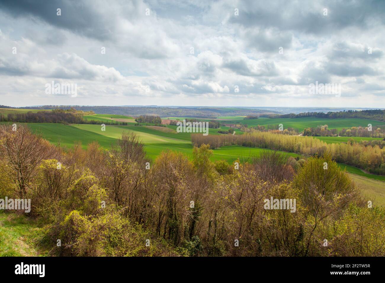 Berny riviere -Fotos und -Bildmaterial in hoher Auflösung – Alamy
