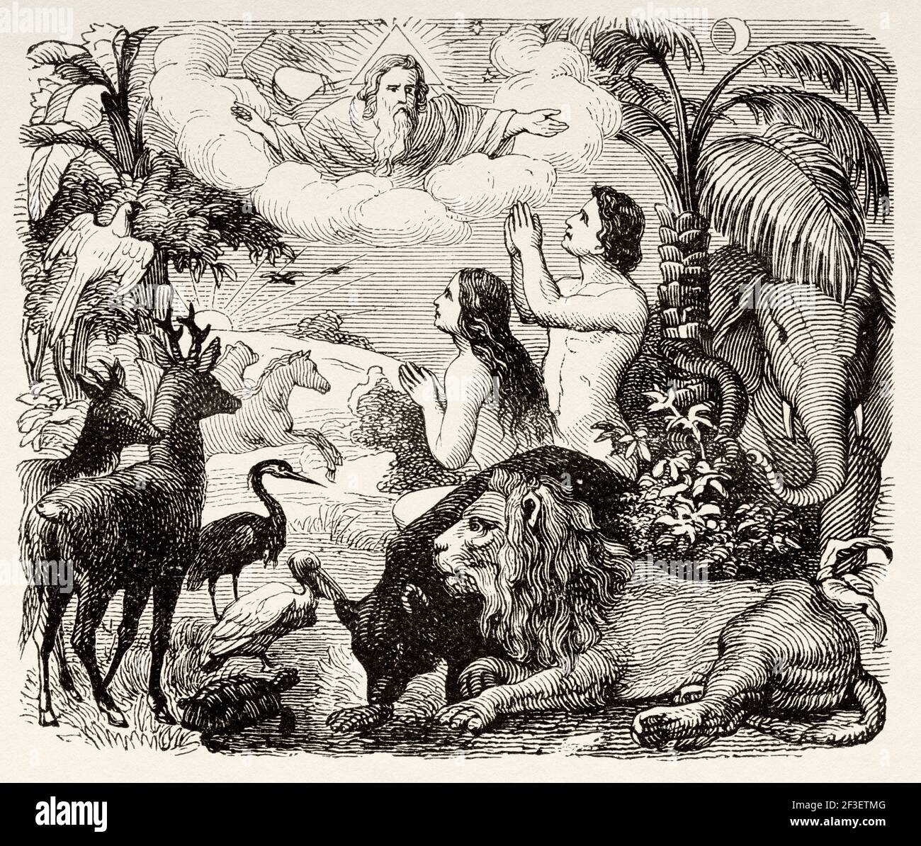 Bibel Illustration Adam 19 Jahrhundert Fotos Und Bildmaterial In