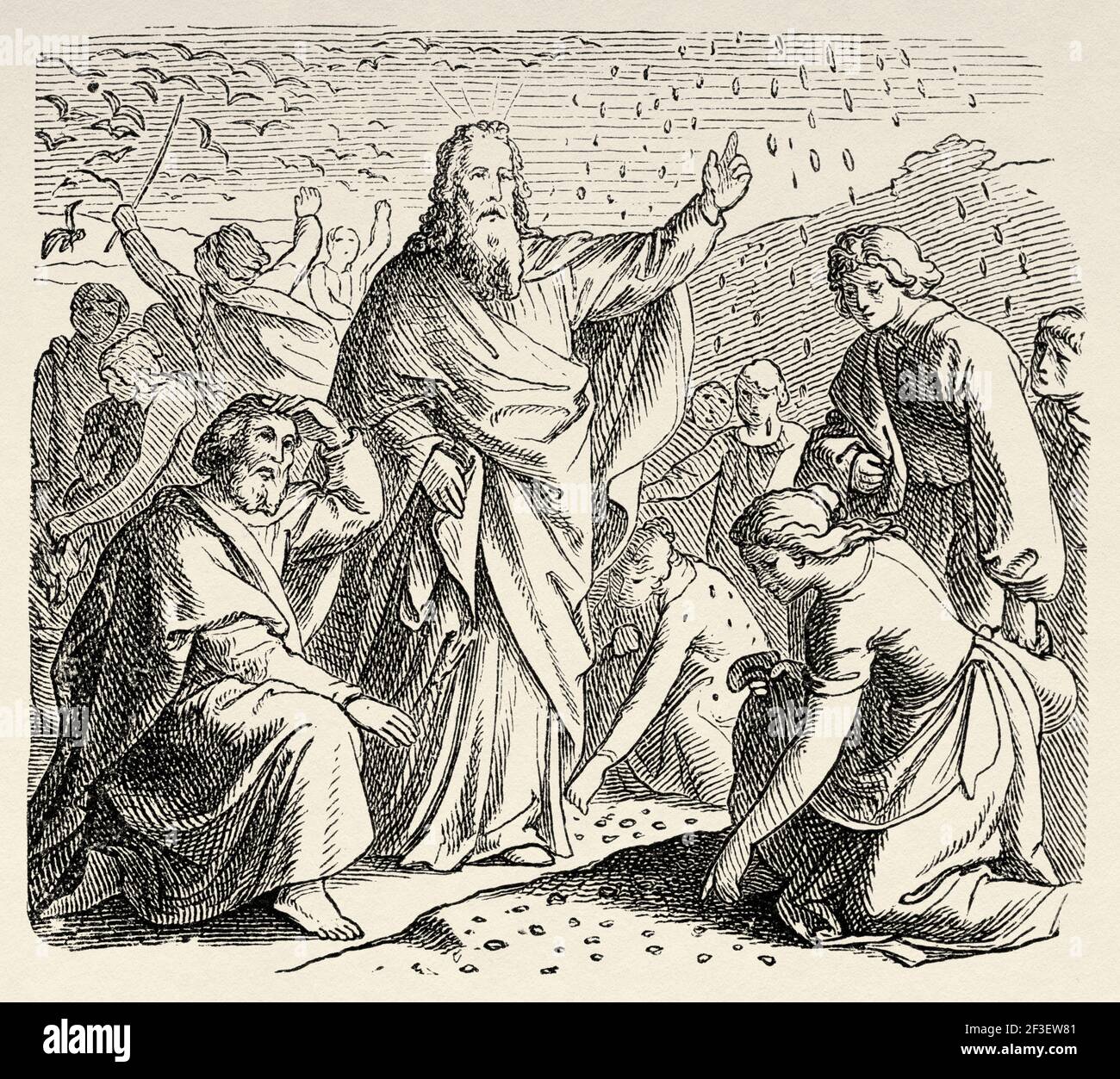 Exodus. Die Israeliten Sammeln Manna. Altes Testament, Alte 19th ...