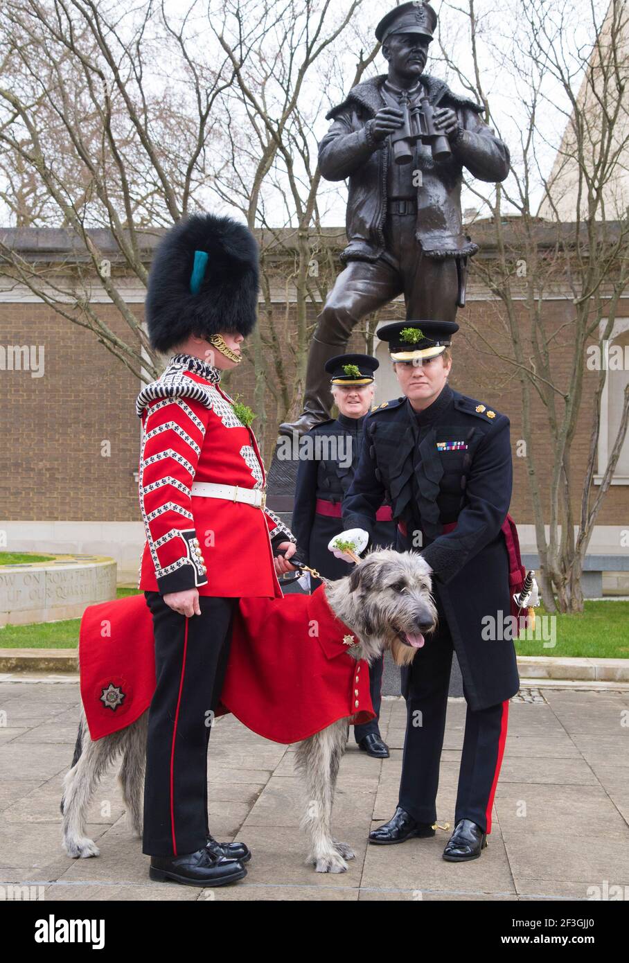 Das neue Maskottchen der Irish Guards, Irish Wolfhound Turlough Mor mit ...