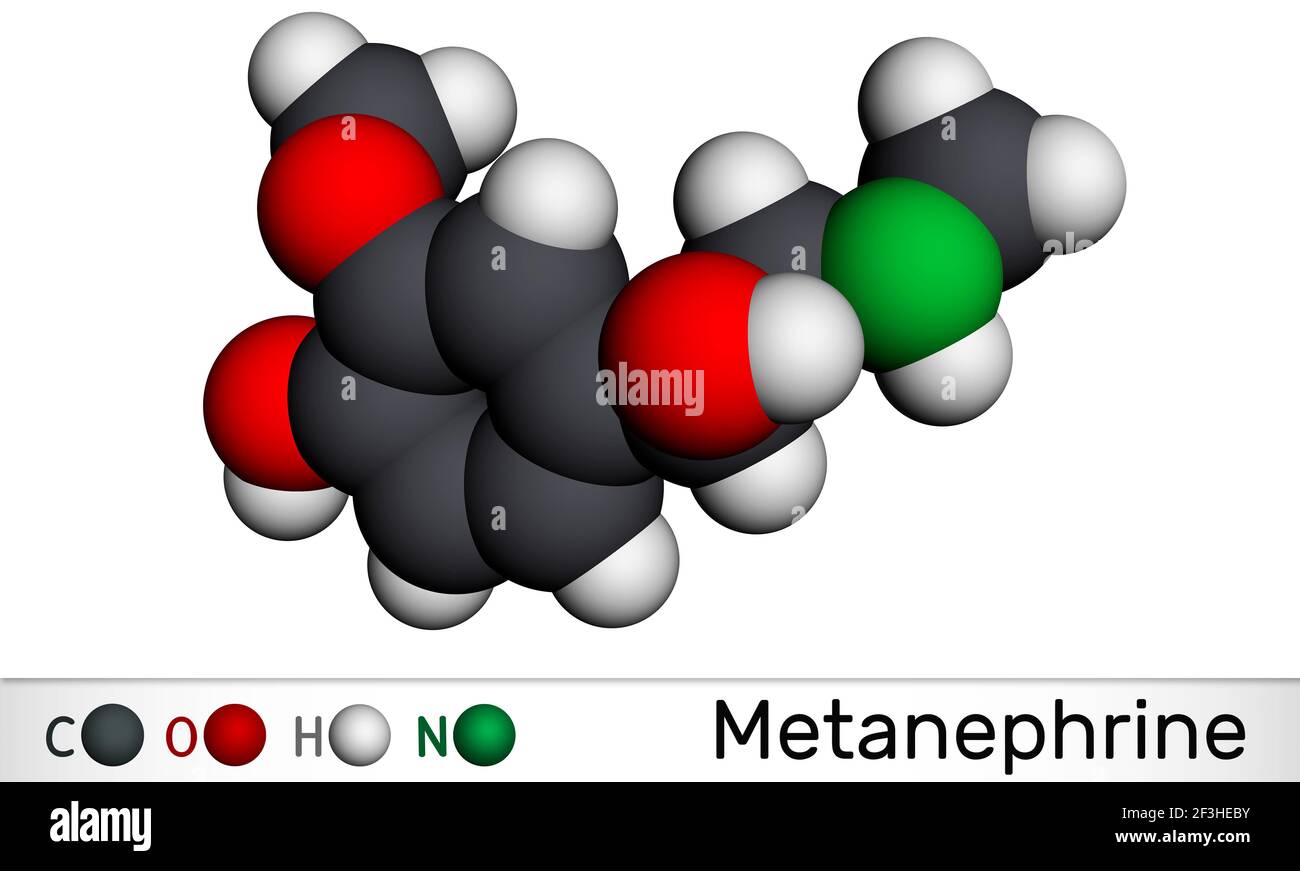 Metanephrin-Molekül. Es ist Metabolit von Adrenalin, Adrenalin ...