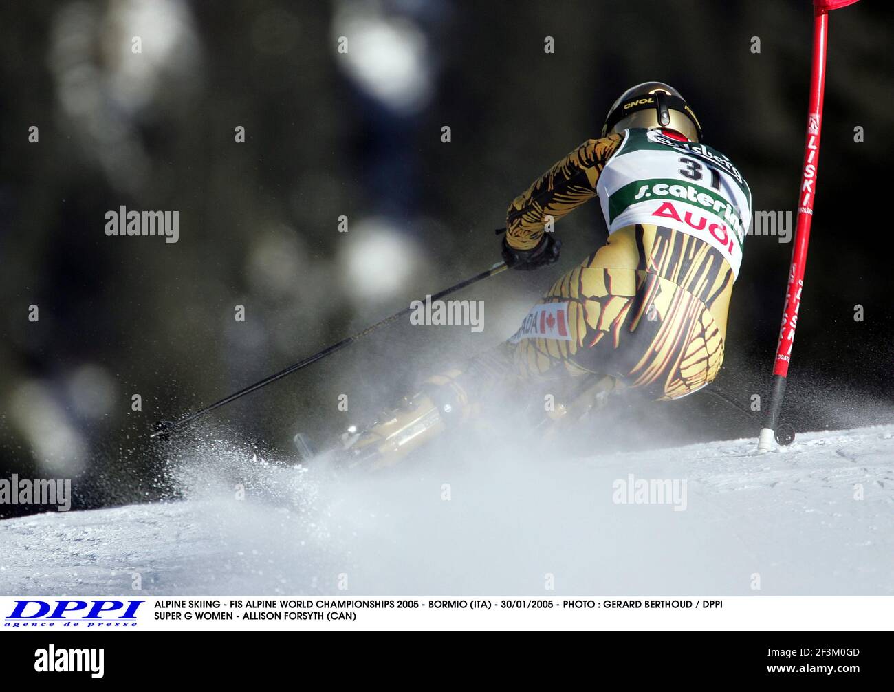 Allison forsyth -Fotos und -Bildmaterial in hoher Auflösung – Alamy