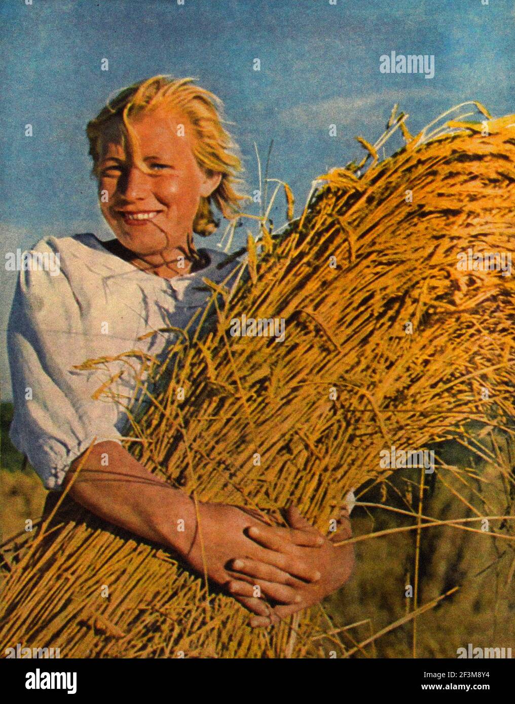 Vintage Nazi Propagandafoto Stockfotos und -bilder Kaufen - Alamy