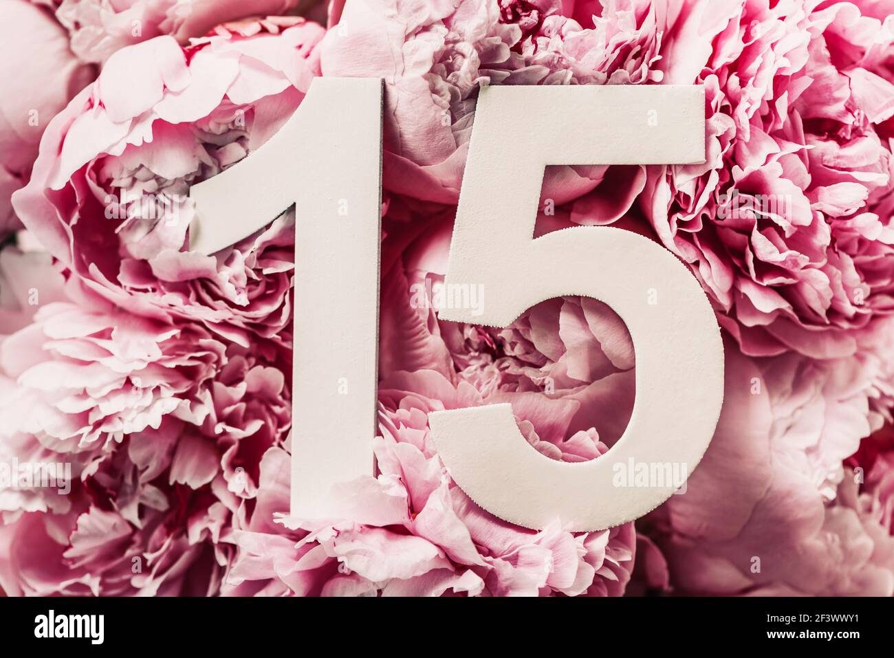 Kreatives Layout. Pfingstrosen, Ziffer fünfzehn. Geburtstagskarte mit ...