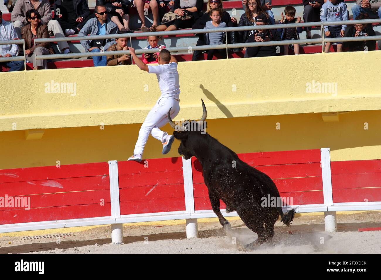 Camargue stierkampf -Fotos und -Bildmaterial in hoher Auflösung – Alamy