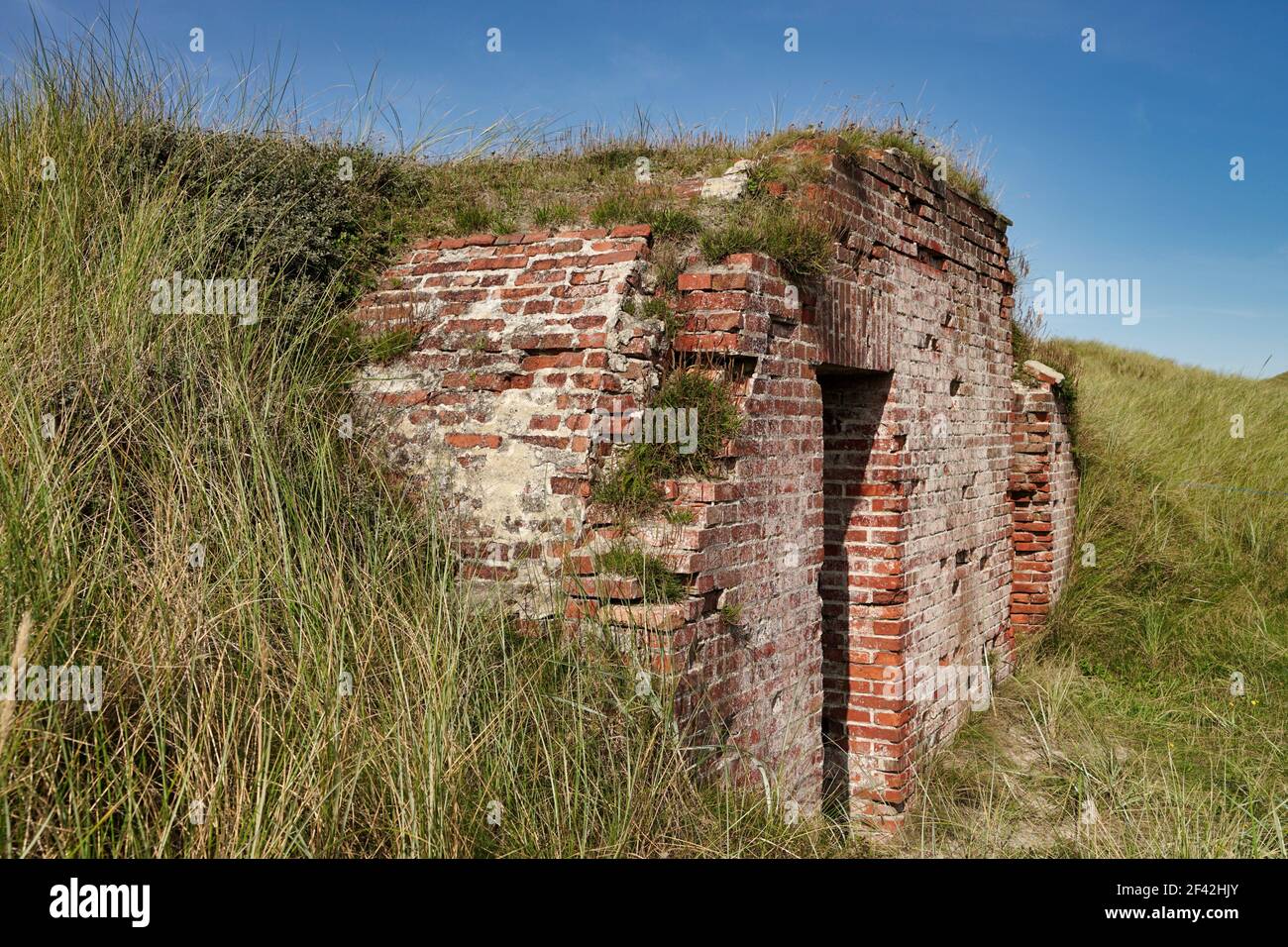 Bunkerruine am Strand bei Houvig, Jütland, Dänemark, Grasland auf Düne ...