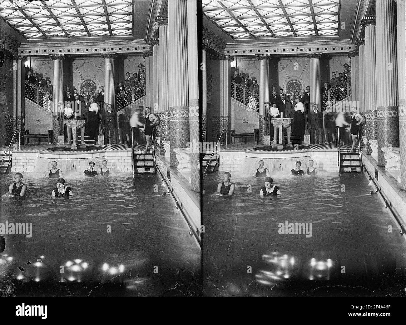 Imperator hapag -Fotos und -Bildmaterial in hoher Auflösung – Alamy