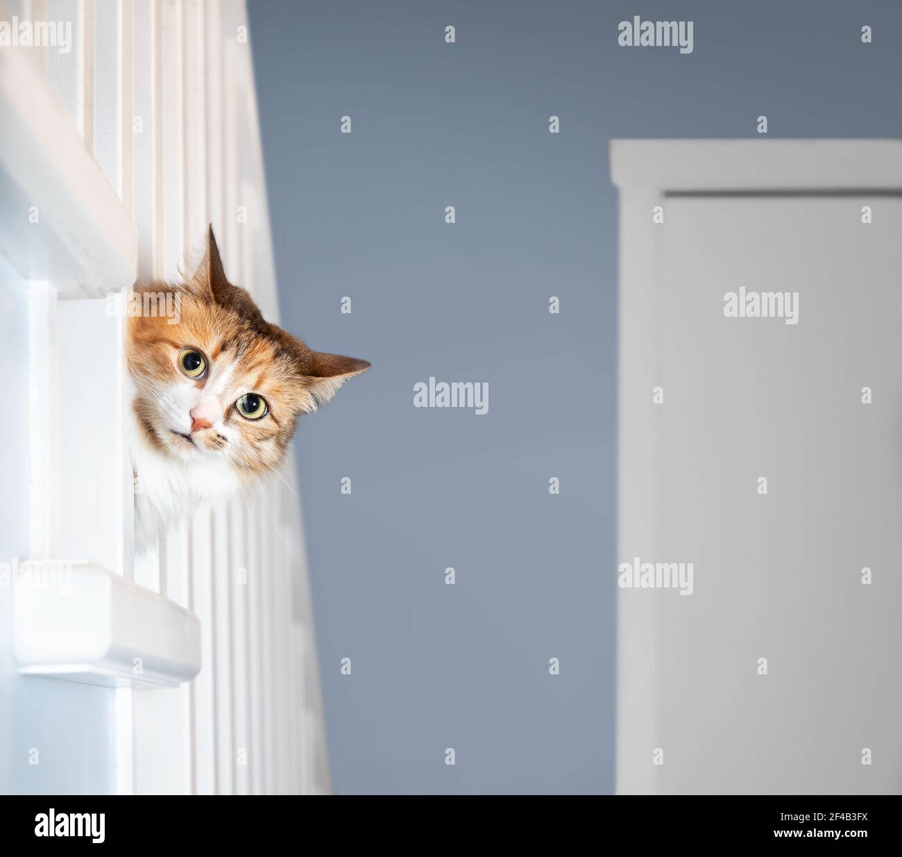 Kopf durchstecken -Fotos und -Bildmaterial in hoher Auflösung – Alamy
