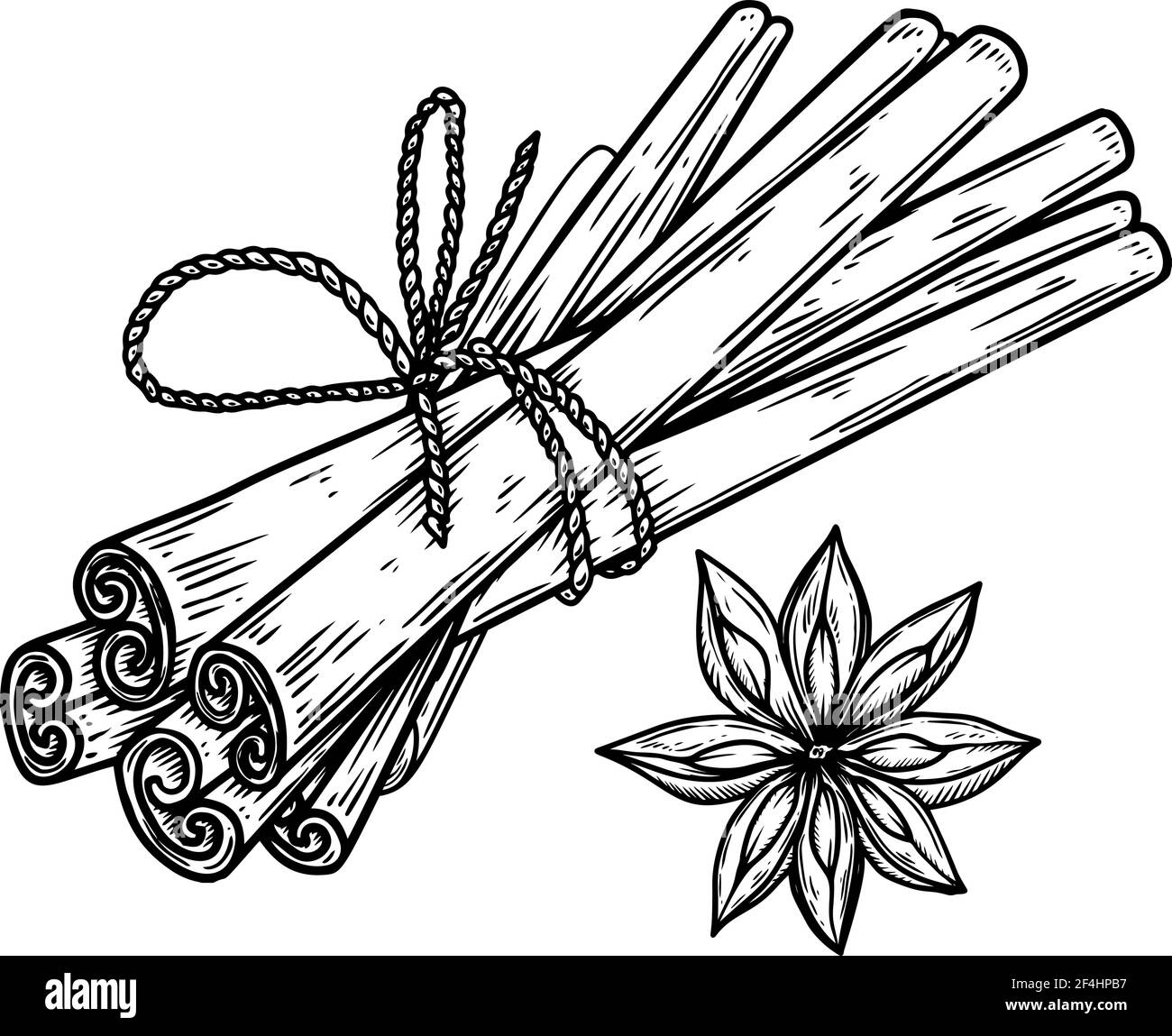 Illustration von Zimt im Gravurstil. Gestaltungselement für Emblem ...