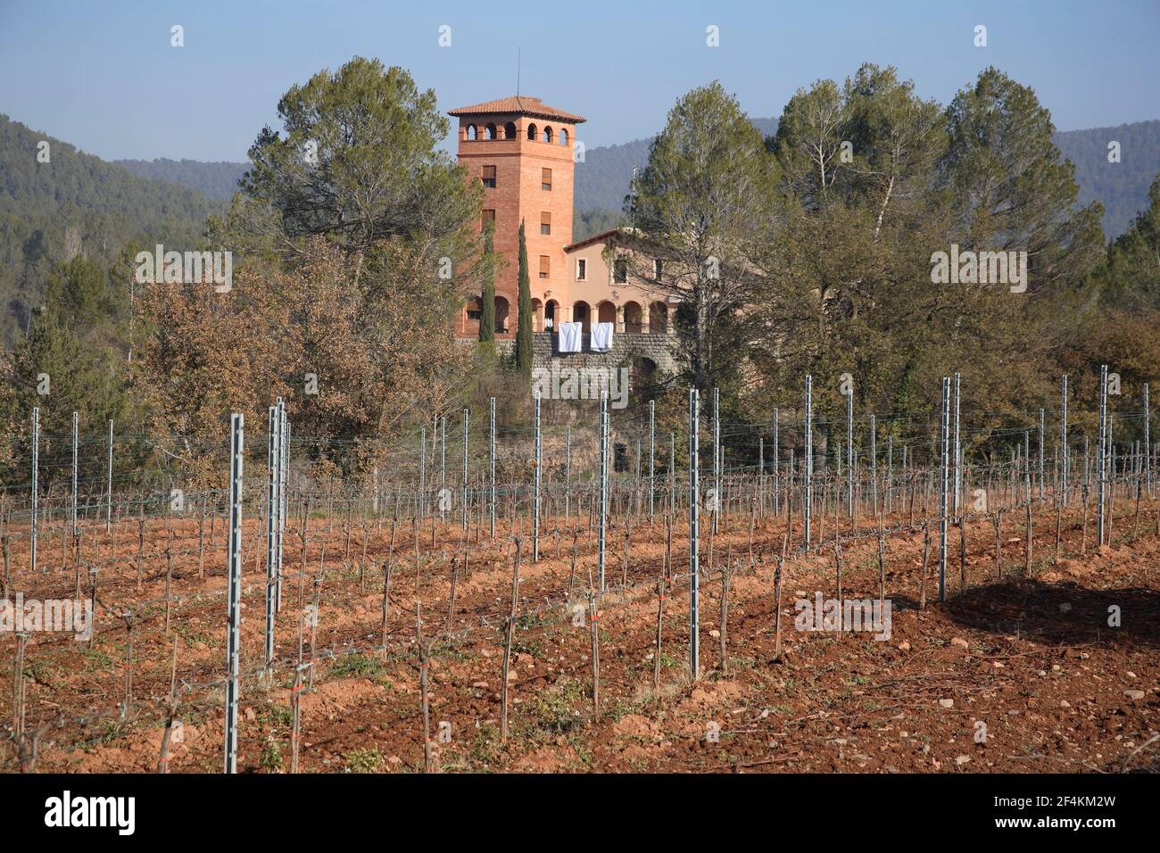 Mache plagen -Fotos und -Bildmaterial in hoher Auflösung – Alamy