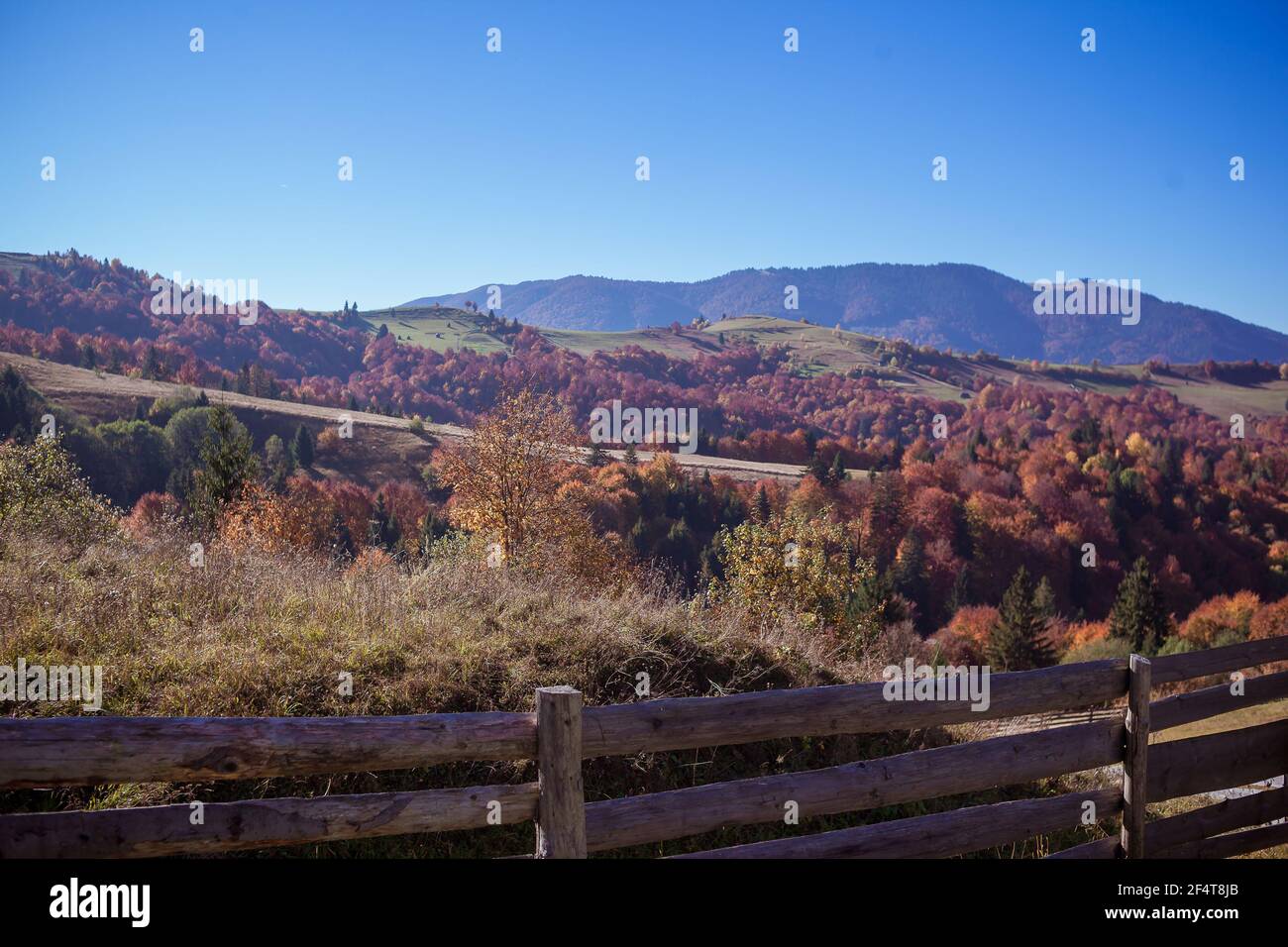 Wiese mit scheune und wald im hintergrund -Fotos und -Bildmaterial in hoher Auflösung – Alamy