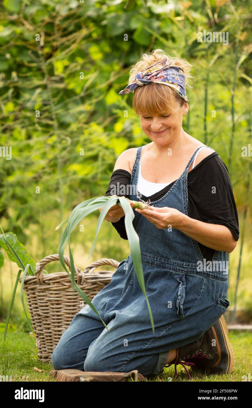Frau ernte -Fotos und -Bildmaterial in hoher Auflösung – Alamy