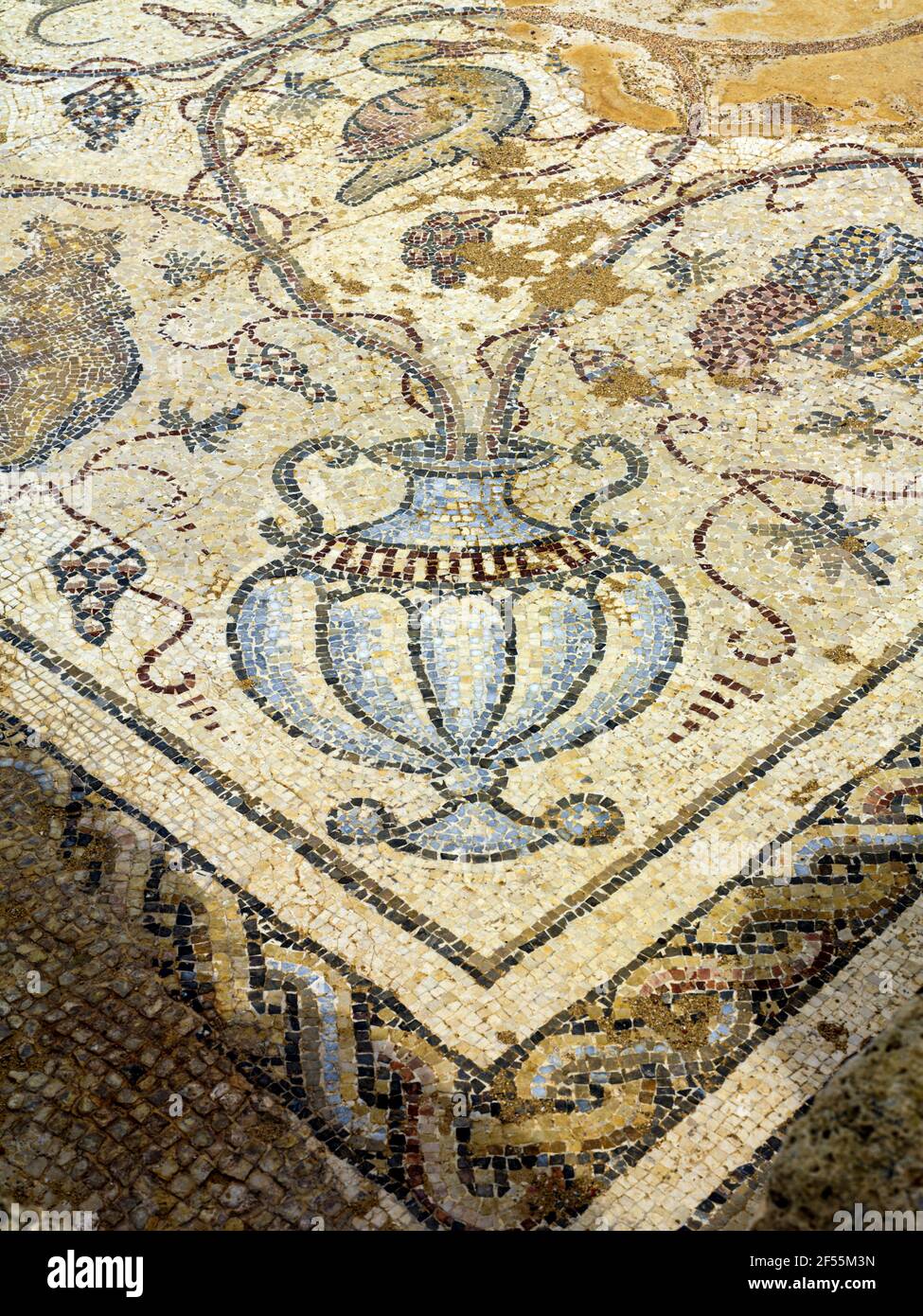 Caesarea national park -Fotos und -Bildmaterial in hoher Auflösung – Alamy