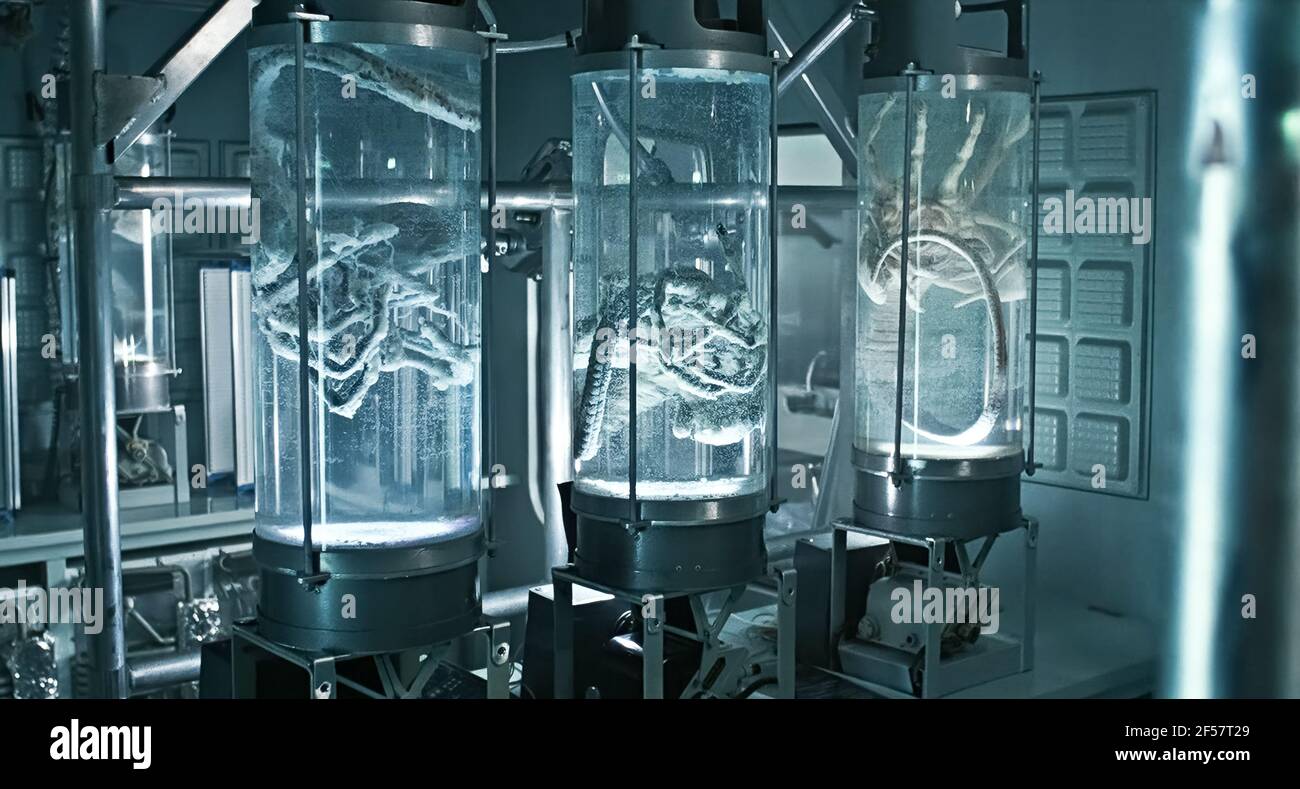 USA. Eine Szene aus dem (C)Twentieth Century Fox Film: Aliens (1986 ...