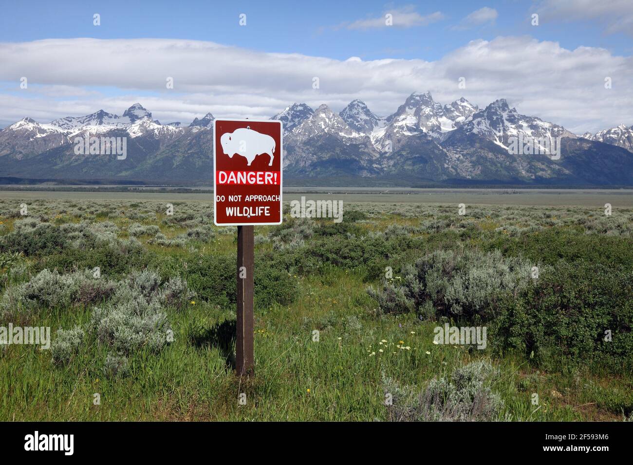 Bison warnschild -Fotos und -Bildmaterial in hoher Auflösung – Alamy