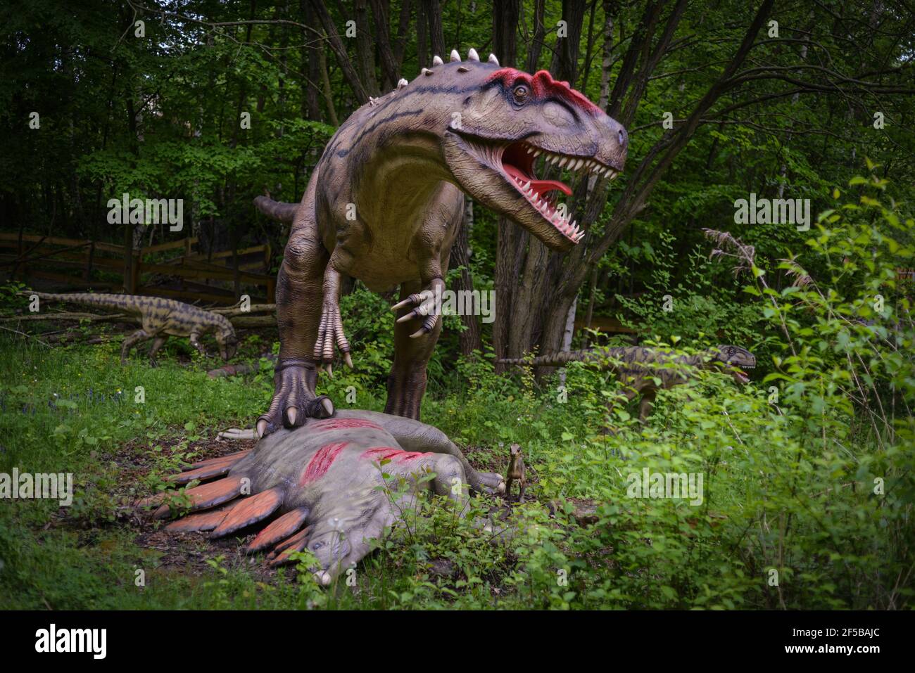 Jäger und Beute: Lebendige Modelle von Allosaurus und totem Stegosaurus ...