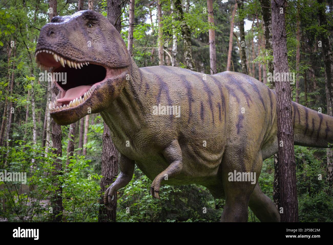 Ein T-Rex bricht aus dem Wald: Lebensgroßes Modell eines Tyrannosaurus ...