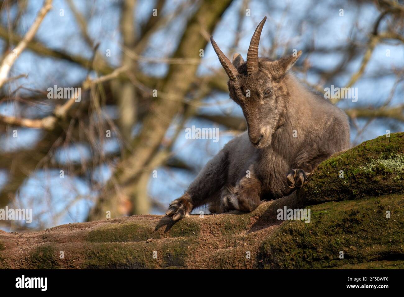 Alpine attraktionen -Fotos und -Bildmaterial in hoher Auflösung – Alamy