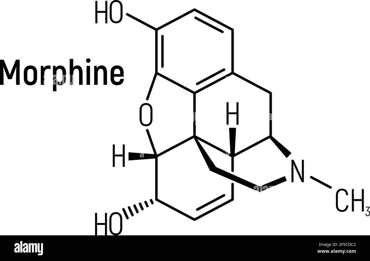 Morphium Konzept chemische Formel Symbol Label, Text Schriftart Vektor ...
