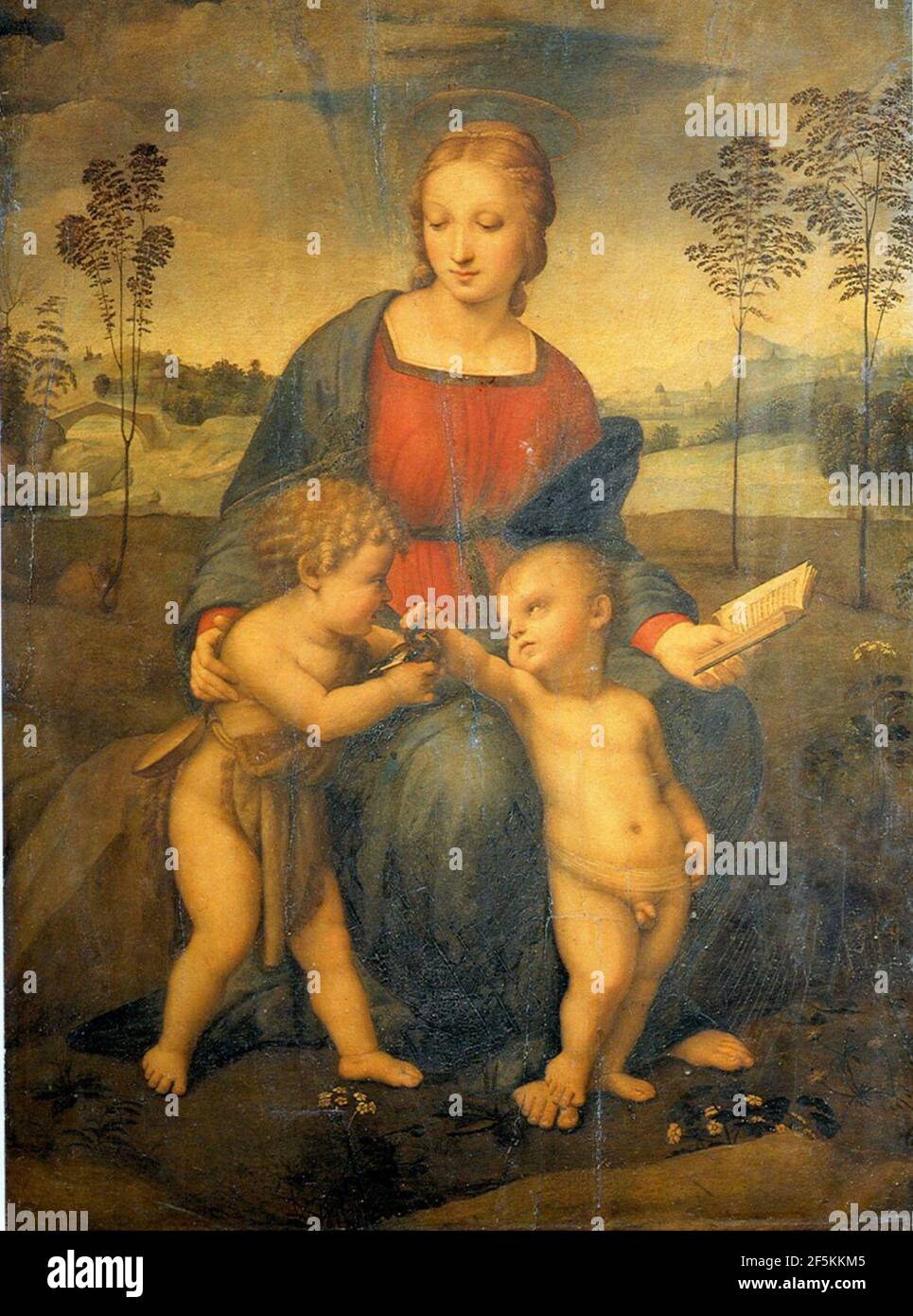 Madonna mit dem stieglitz -Fotos und -Bildmaterial in hoher Auflösung – Alamy