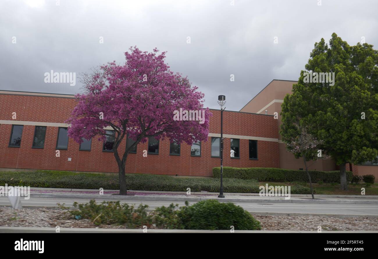 Burbank, California, USA 25th March 2021 EINE allgemeine Sicht auf die ...