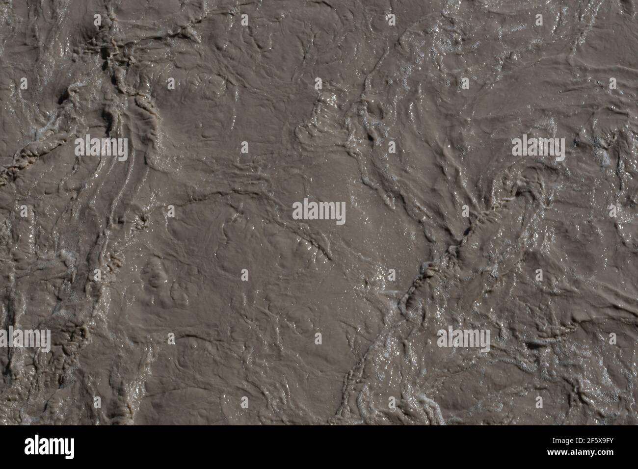 Hochwasser nach starkregen -Fotos und -Bildmaterial in hoher Auflösung ...