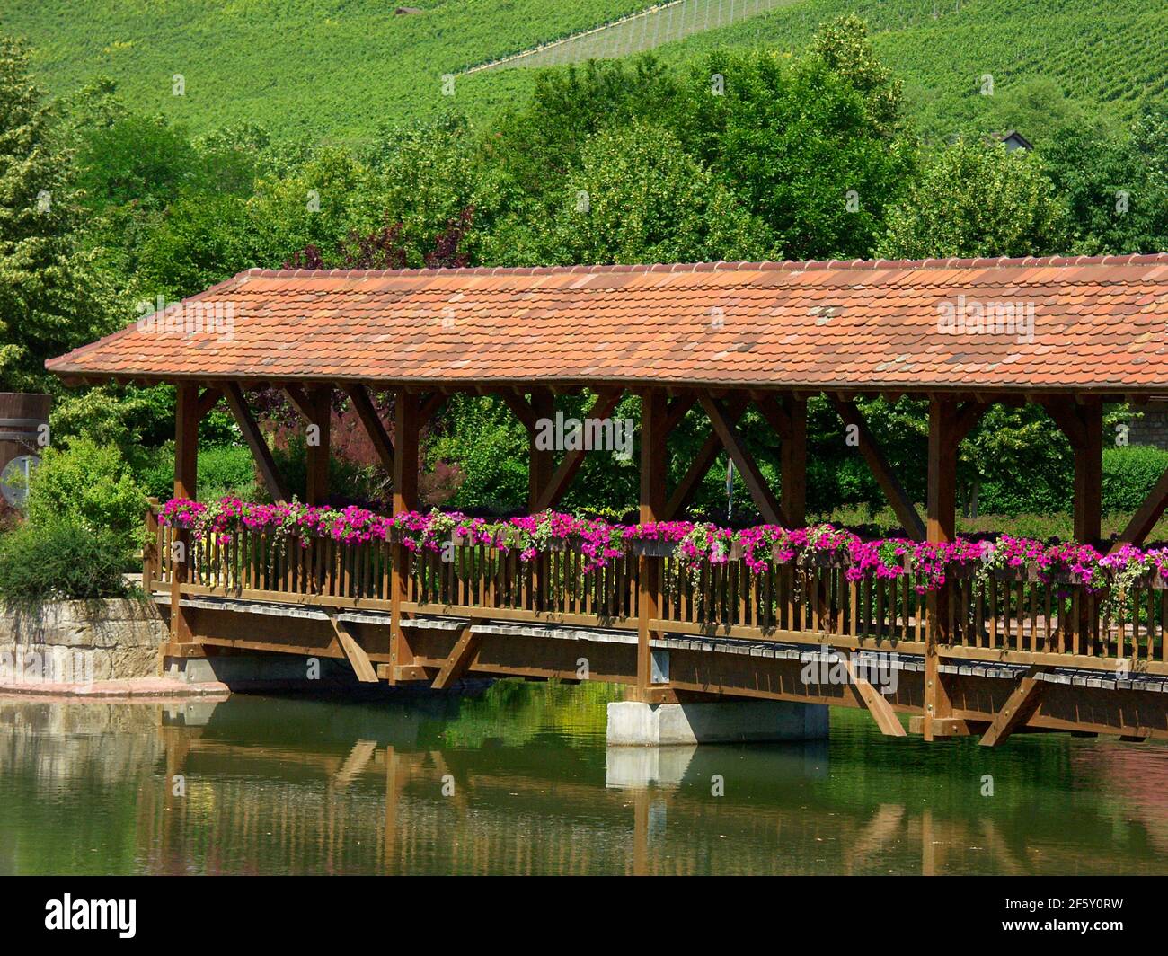Fußgängerbrücke im Erlebnispark Tripsdrill bei Cleebronn im Zabergäu ...