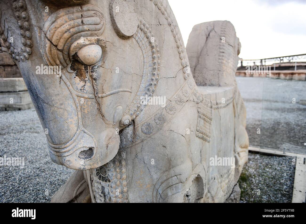 Head persepolis iran -Fotos und -Bildmaterial in hoher Auflösung – Alamy