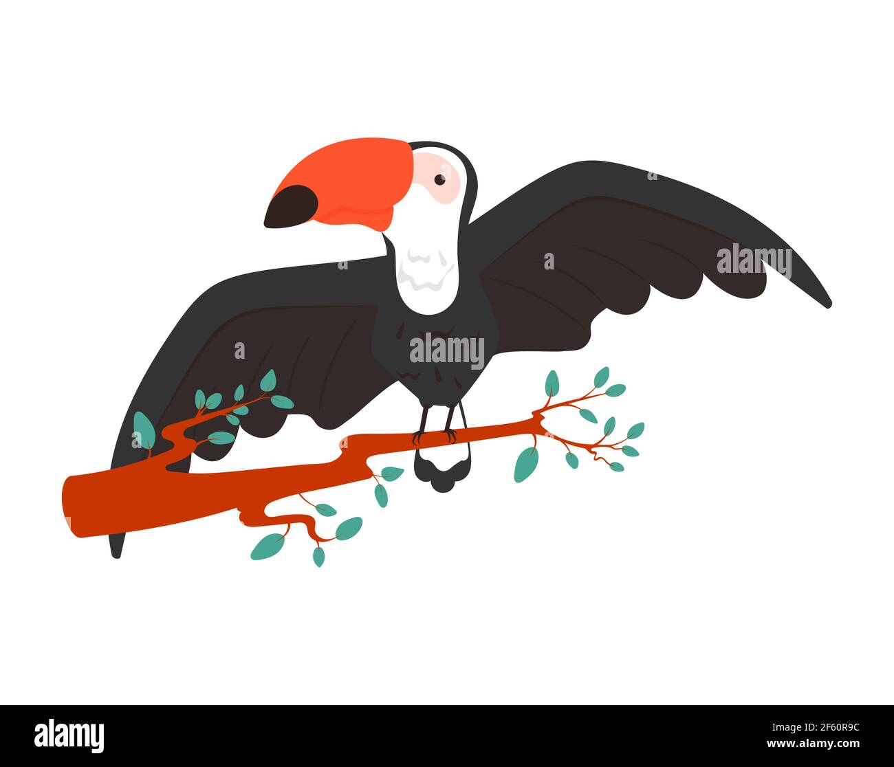 Tukan cartoon Stock-Vektorgrafiken kaufen - Alamy