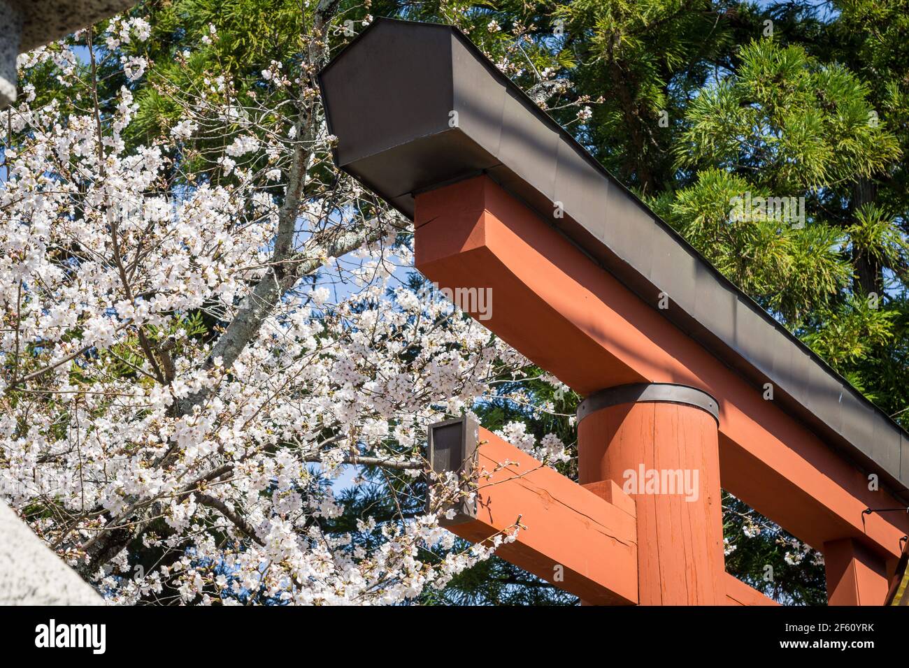 Shinto Jinja Stockfotos und -bilder Kaufen - Alamy