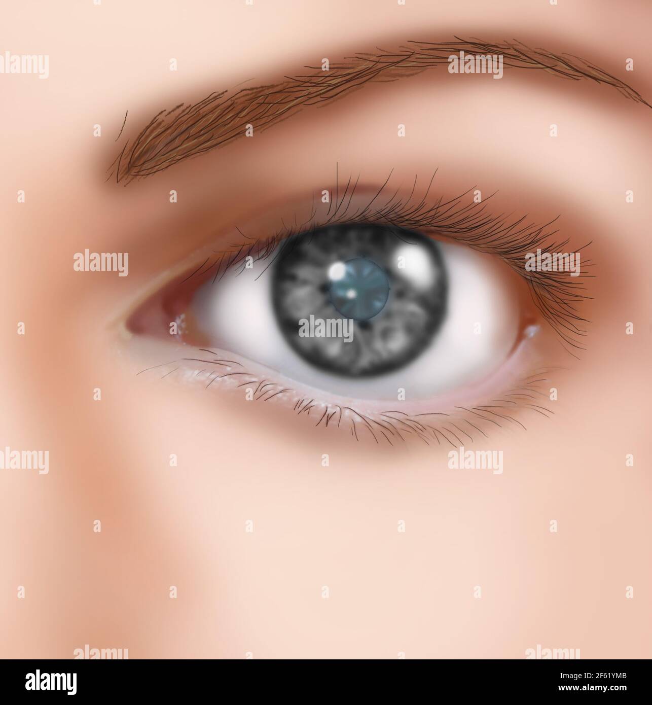 Katarakte in den augen -Fotos und -Bildmaterial in hoher Auflösung – Alamy