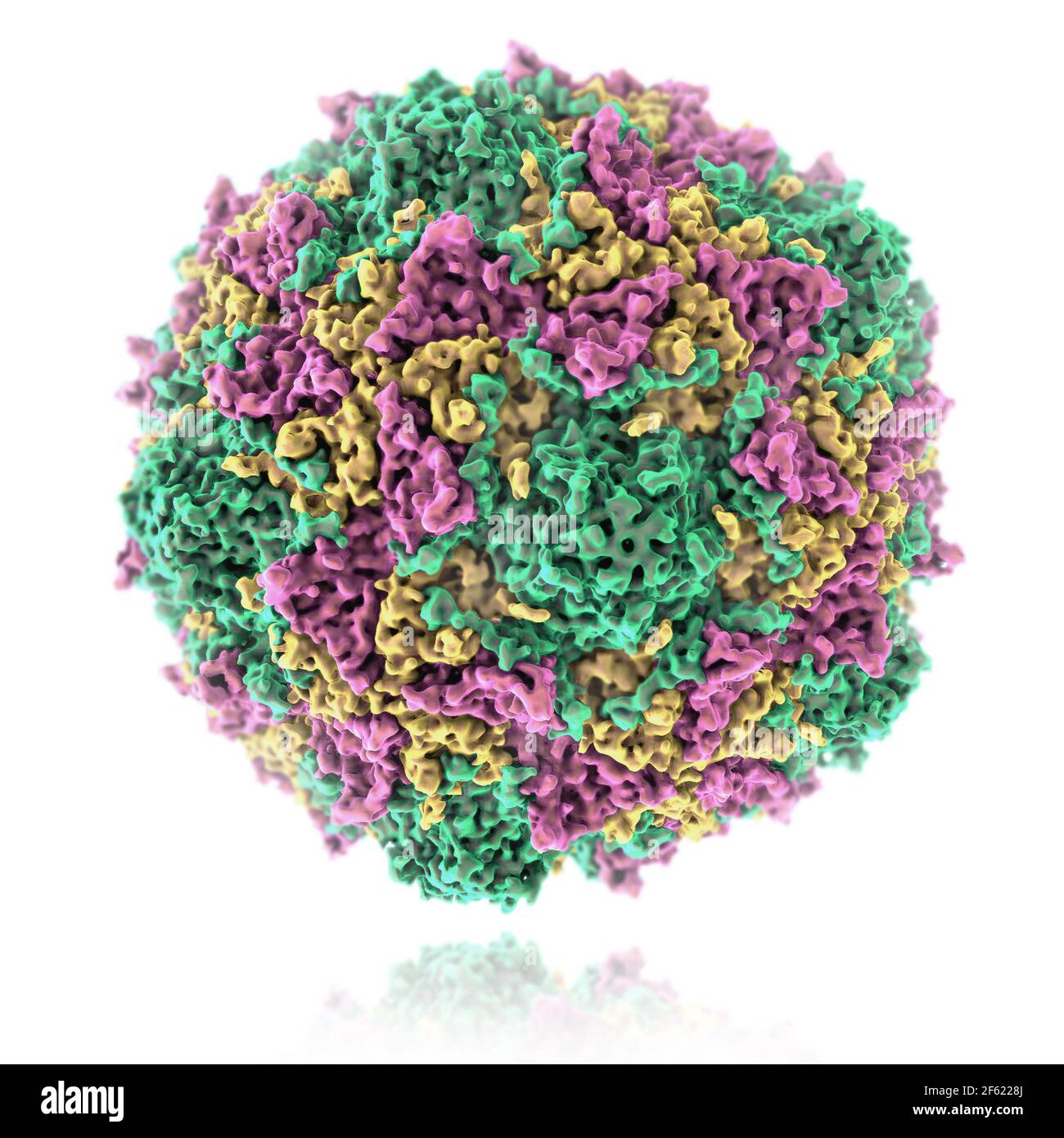 Bulbar Polio Stockfotos und -bilder Kaufen - Alamy