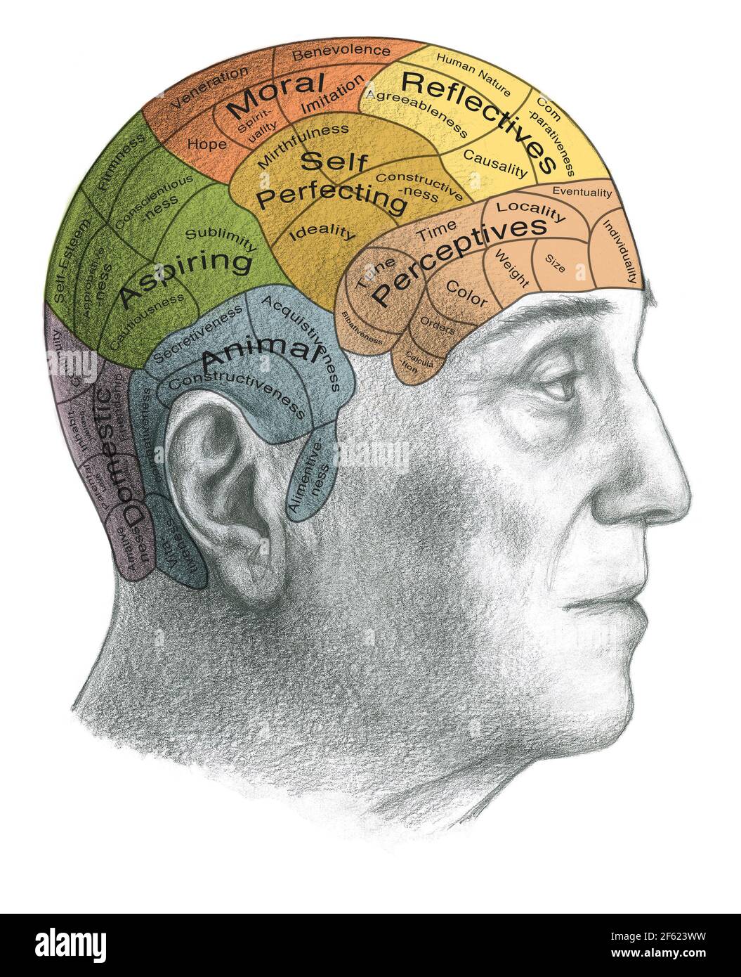 Simbolo delle caratteristiche Ausgeschnittene Stockfotos und -bilder - Alamy