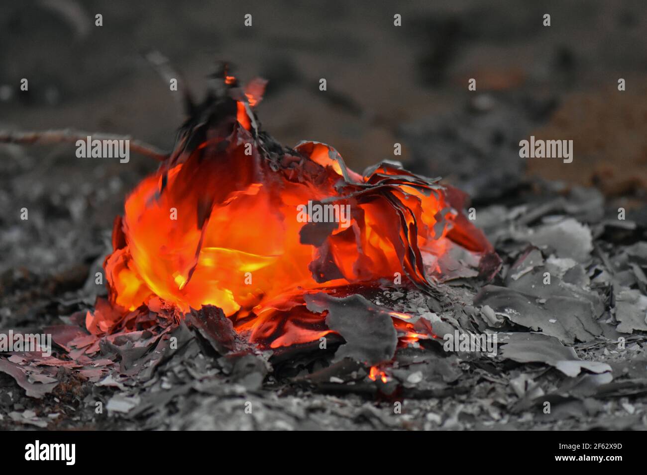 Asche fallen -Fotos und -Bildmaterial in hoher Auflösung – Alamy